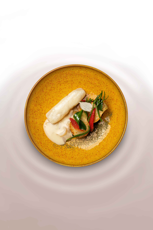 Accueil - Les Ombres